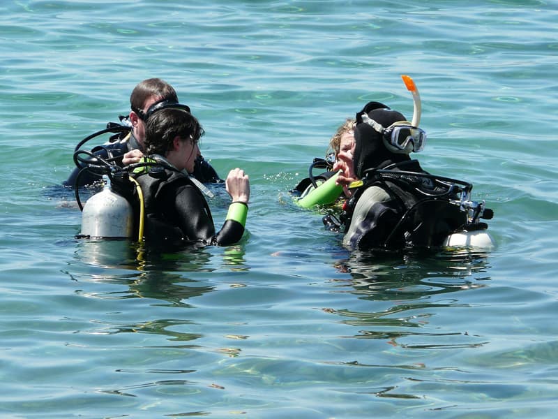 Agencias y Escuelas de buceo ¿Cuál es la diferencia? | Mundo de Buceo